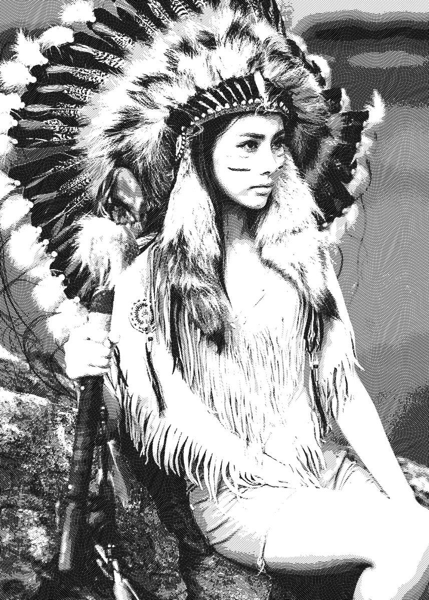 'American native girl' Poster, picture, metal print, paint by koko ...