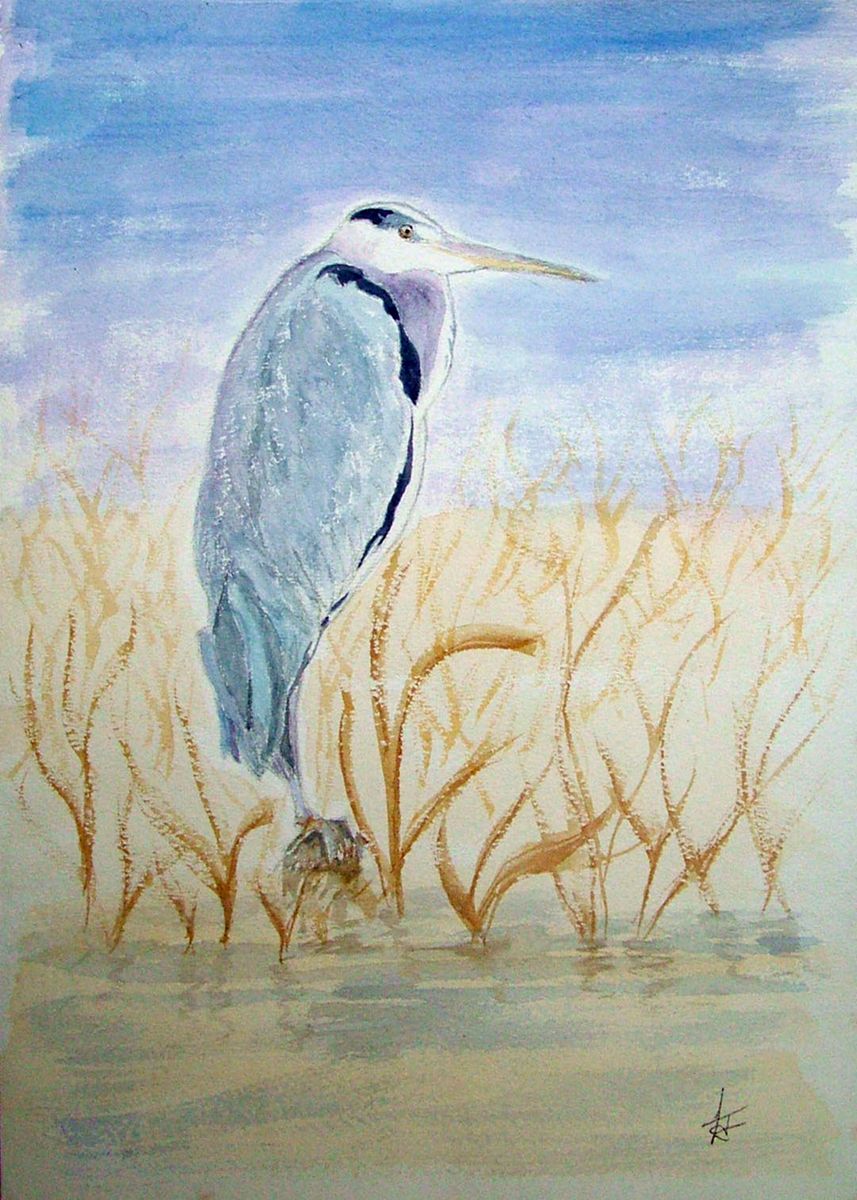 'Heron' Poster, picture, metal print, paint by Lance Jacobs | Displate