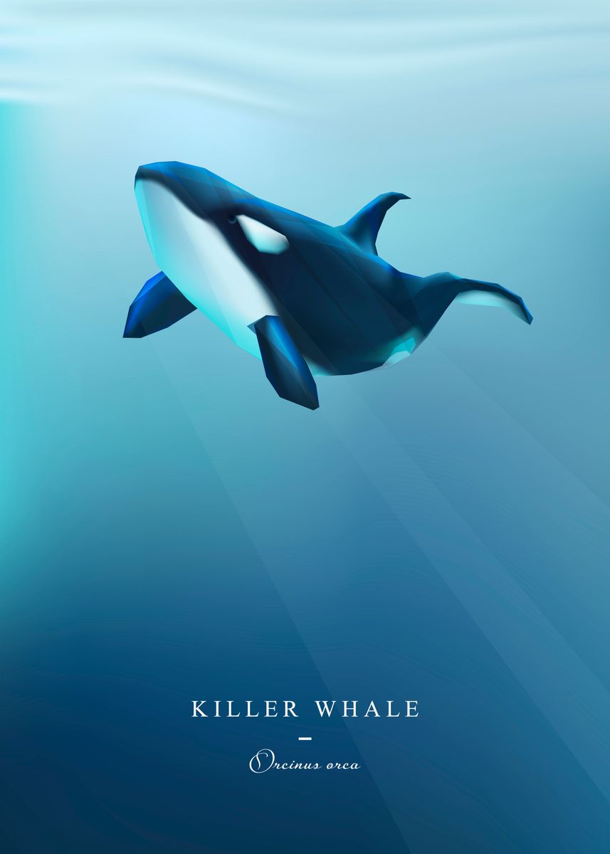 'Orca' Poster, picture, metal print, paint by Splano | Displate