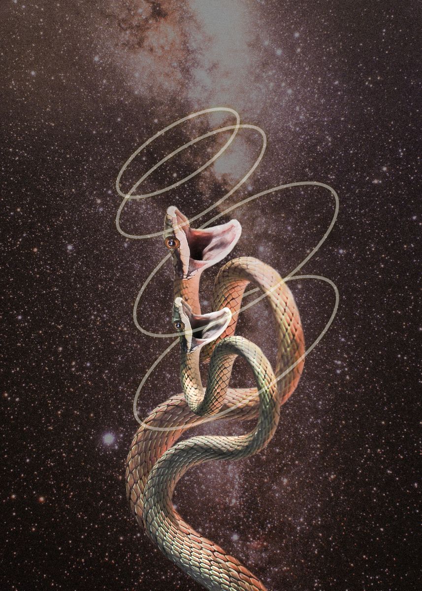 'Snakes on the space' Poster, picture, metal print, paint by Enis Mera ...