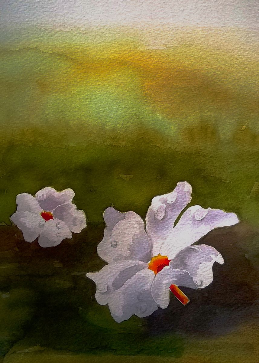 'Shefali Flower' Poster by Bhargobi Sharma | Displate