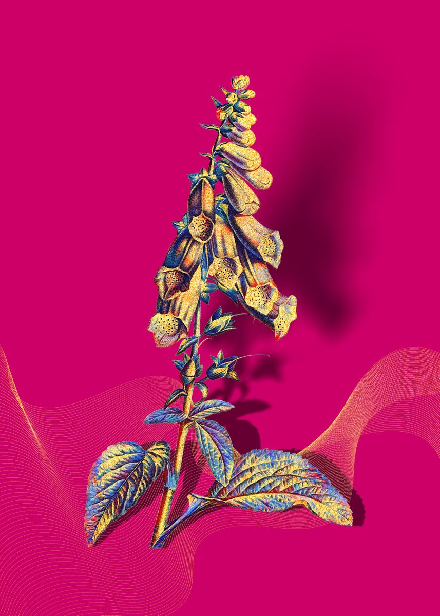 'Prismatic Foxglove Flowers' Poster by Holy Rock Design | Displate