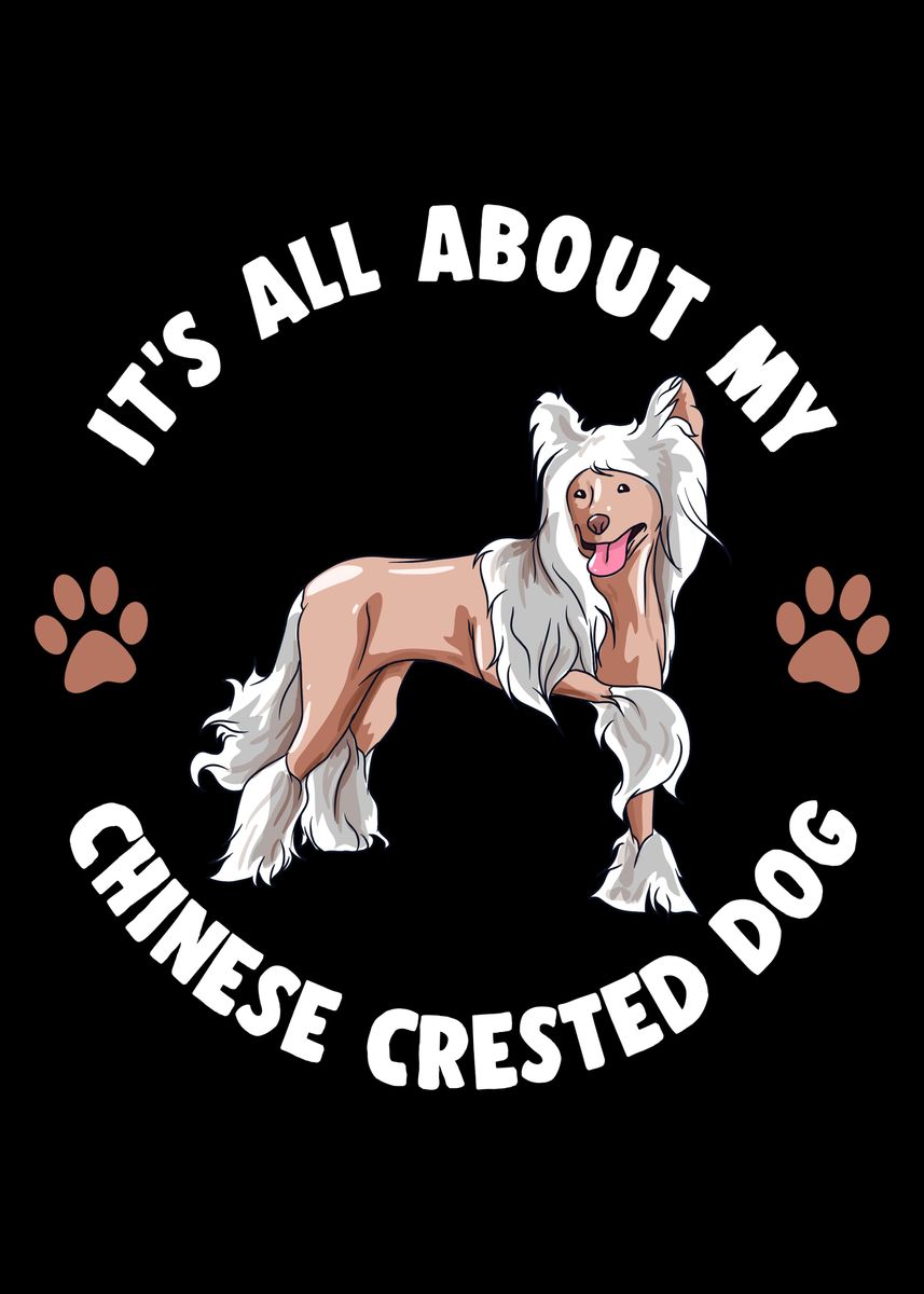 'Chinese Crested Dog ' Poster, picture, metal print, paint by Wonderful ...