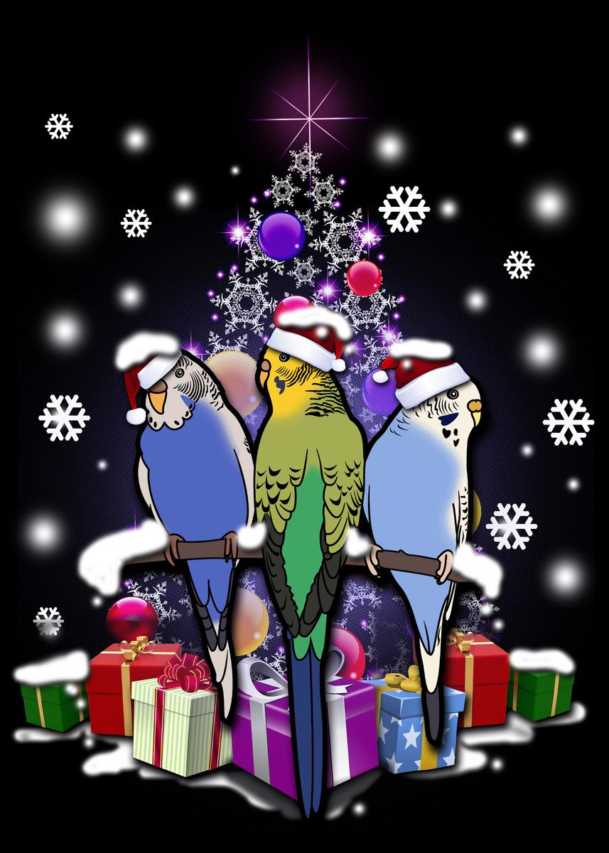 'Budgerigar Christmas' Poster, picture, metal print, paint by Wonderful ...