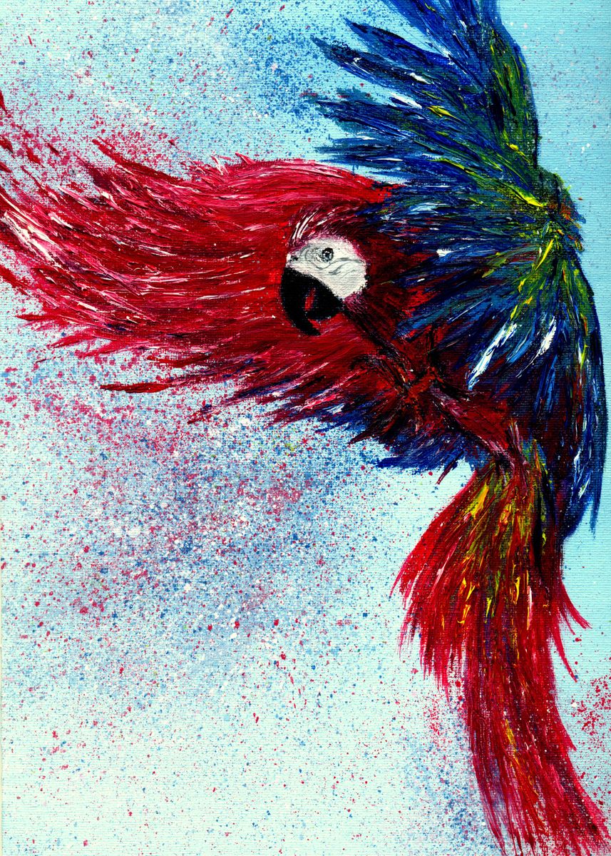 'Colorful parrot' Poster, picture, metal print, paint by Shizyye | Displate