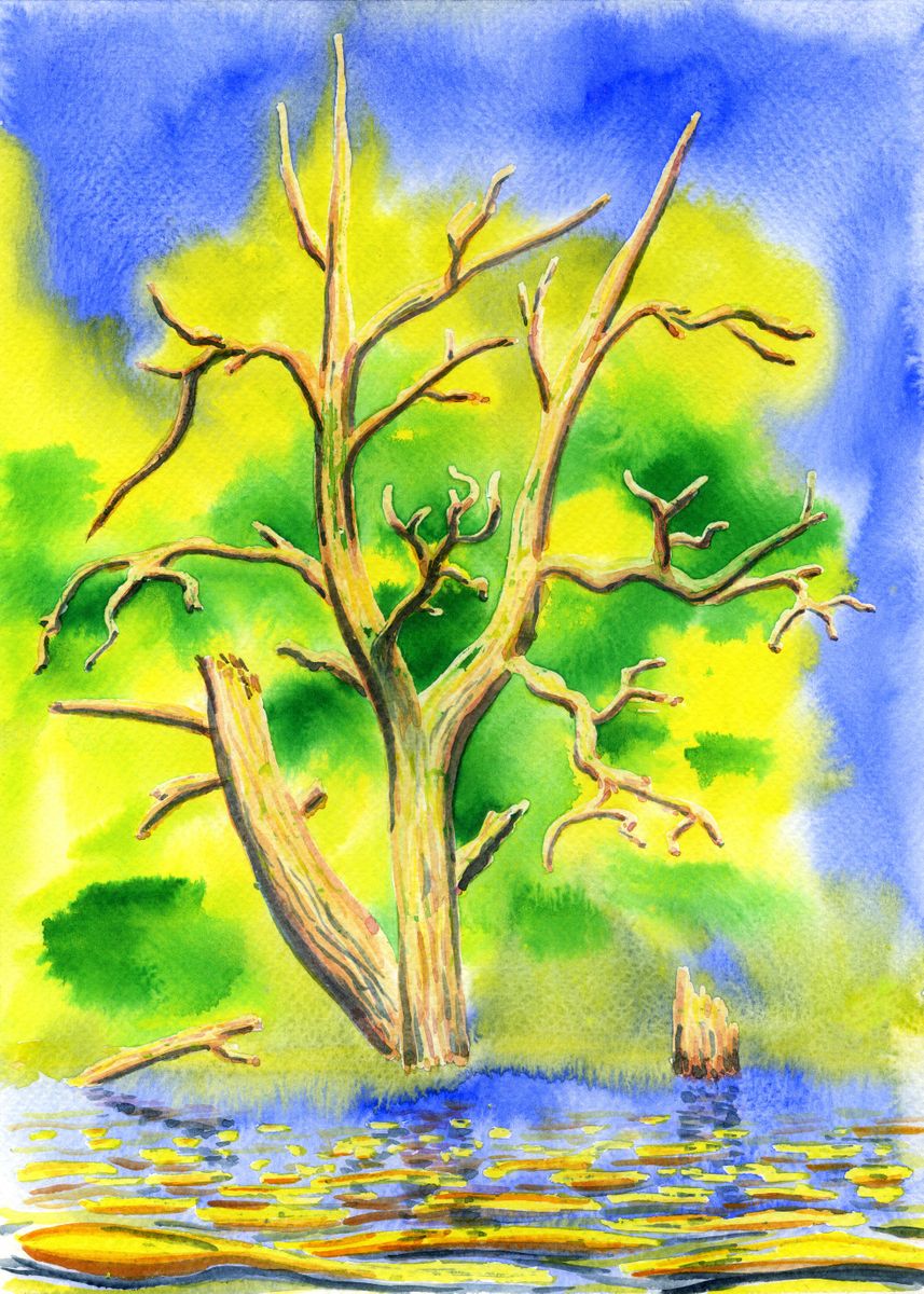 'Old Tree In The Water 3' Poster by Victor Chaika | Displate