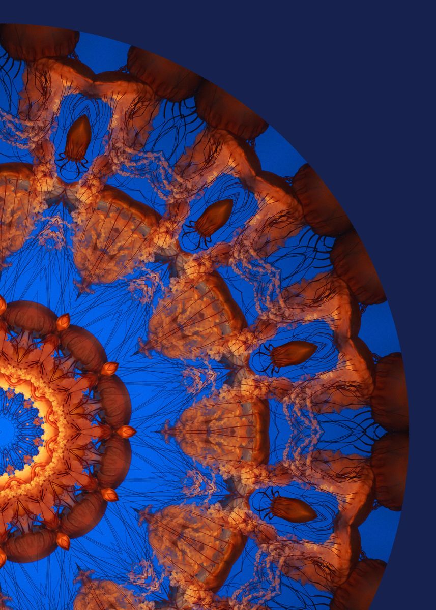 'Jellyfish Mandala' Poster by Teresita Gonzalez-Crespo | Displate