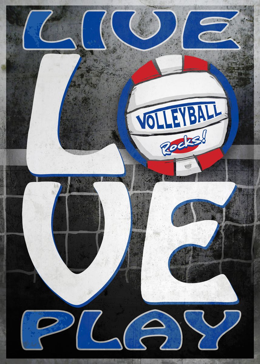 'Love Play Blue Red Vball' Poster, picture, metal print, paint by Mudge ...