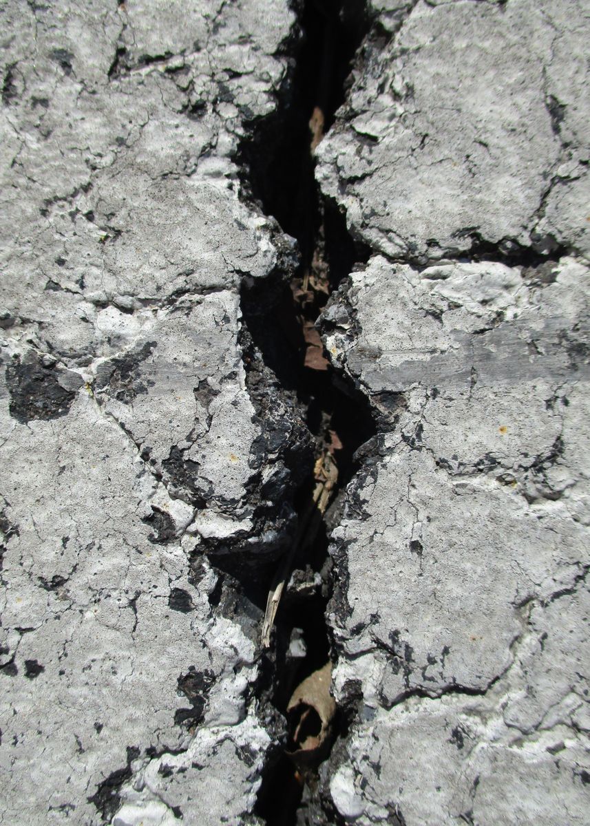 'White and Black' Poster, picture, metal print, paint by Jeanne Kramer ...