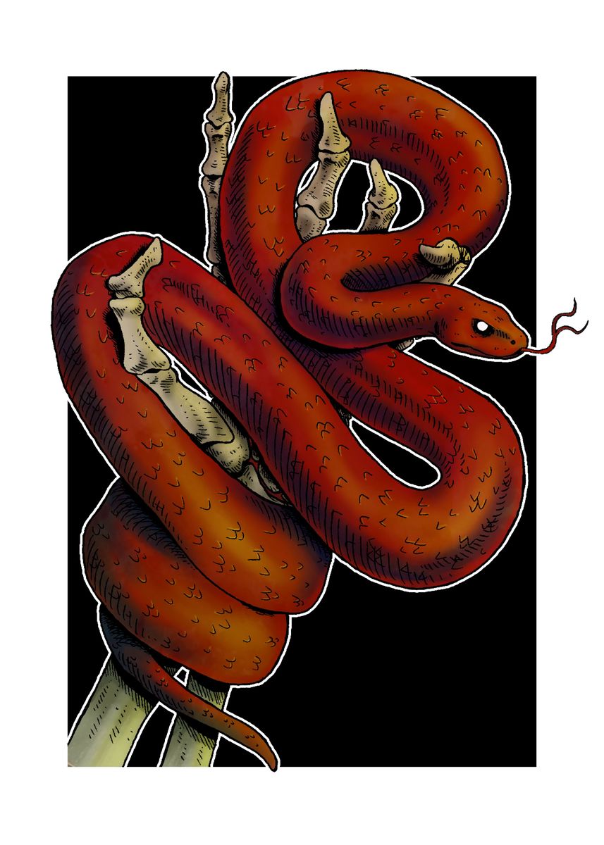 'Red snake' Poster, picture, metal print, paint by Forestrattus | Displate