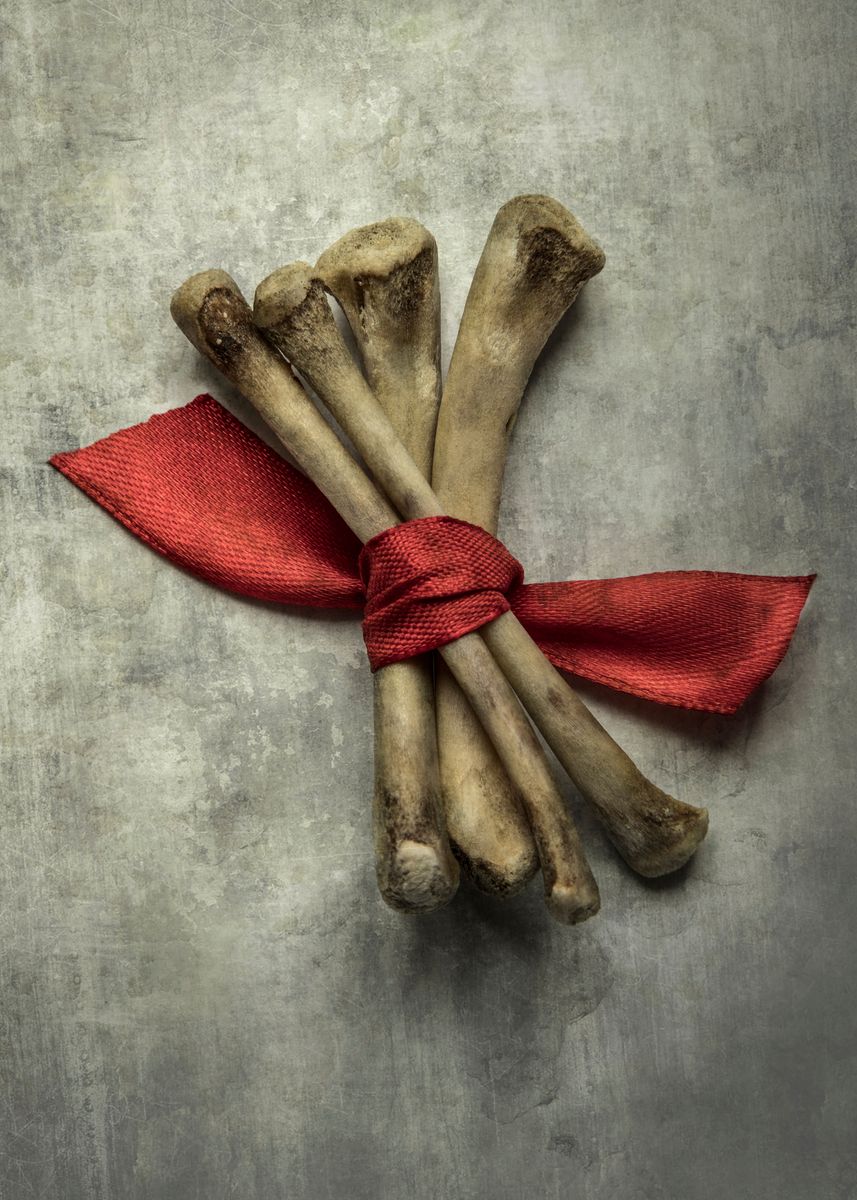 'Still life with bones' Poster, picture, metal print, paint by Jaroslaw ...