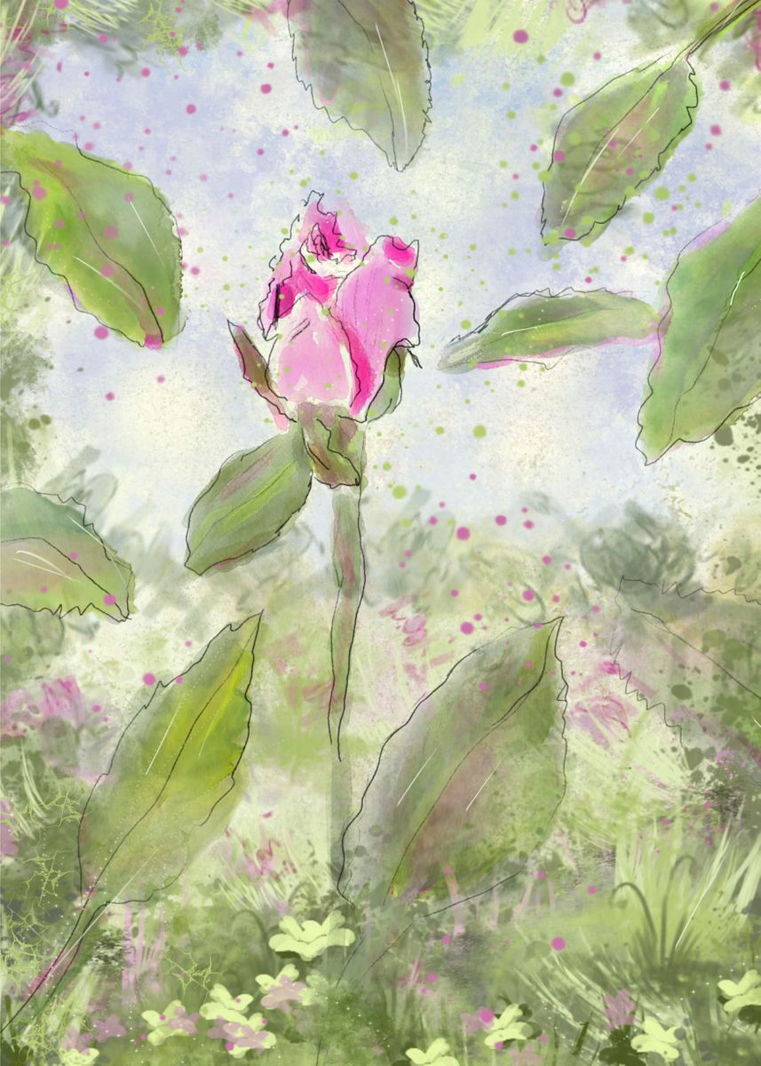 'Pink Summer Rosebud' Poster, picture, metal print, paint by Clare ...