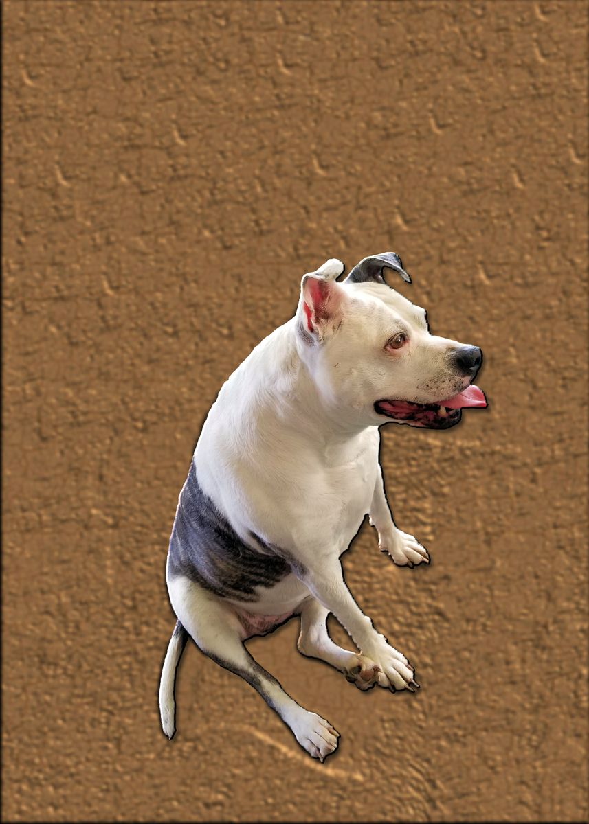 'This is Epona' Poster, picture, metal print, paint by Robert Felan ...