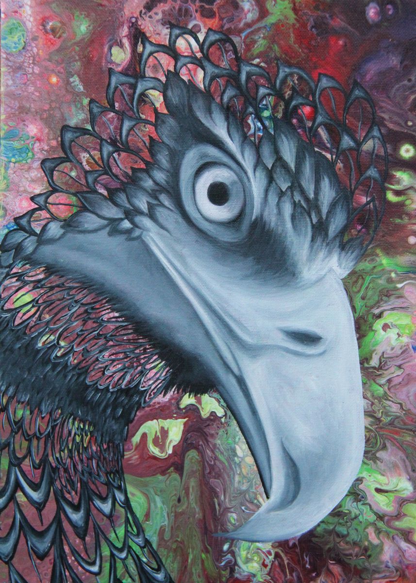 'Eagle Eye' Poster, picture, metal print, paint by Gemma Louise Pap ...