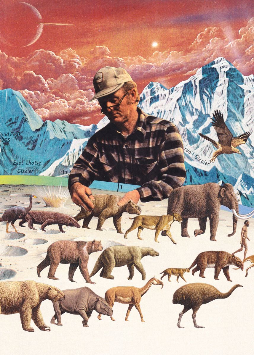 'Evolution [collage]' Poster, picture, metal print, paint by Lerson ...