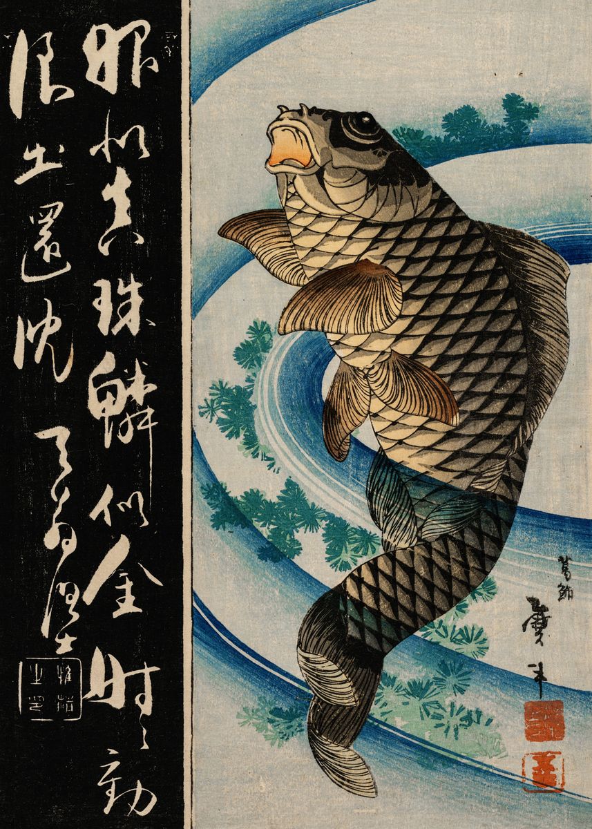 'Carp poster' Poster, picture, metal print, paint by aeiaua | Displate