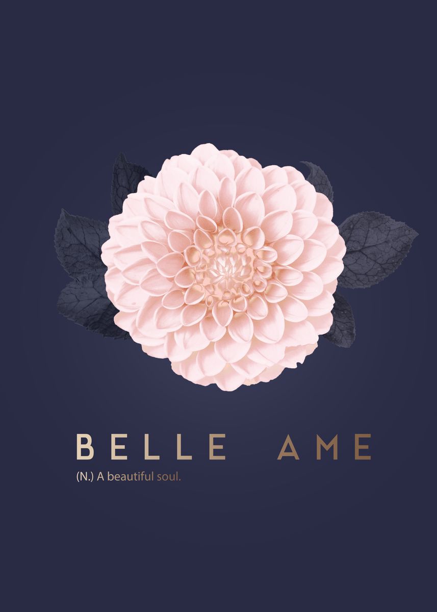 'Belle Ame' Poster, picture, metal print, paint by Daniel Due | Displate
