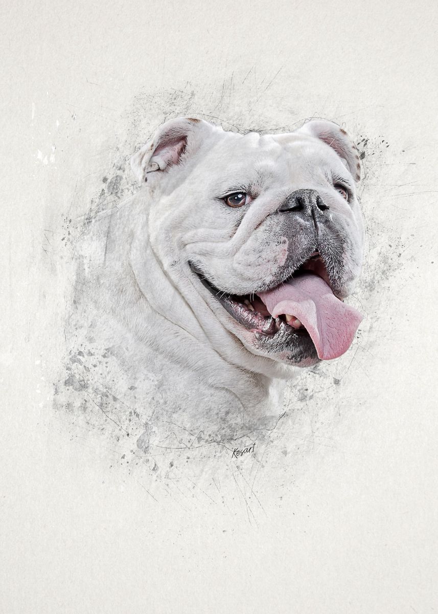 'British Bulldog Portrait' Poster by Birds and Beasts by Kesart | Displate