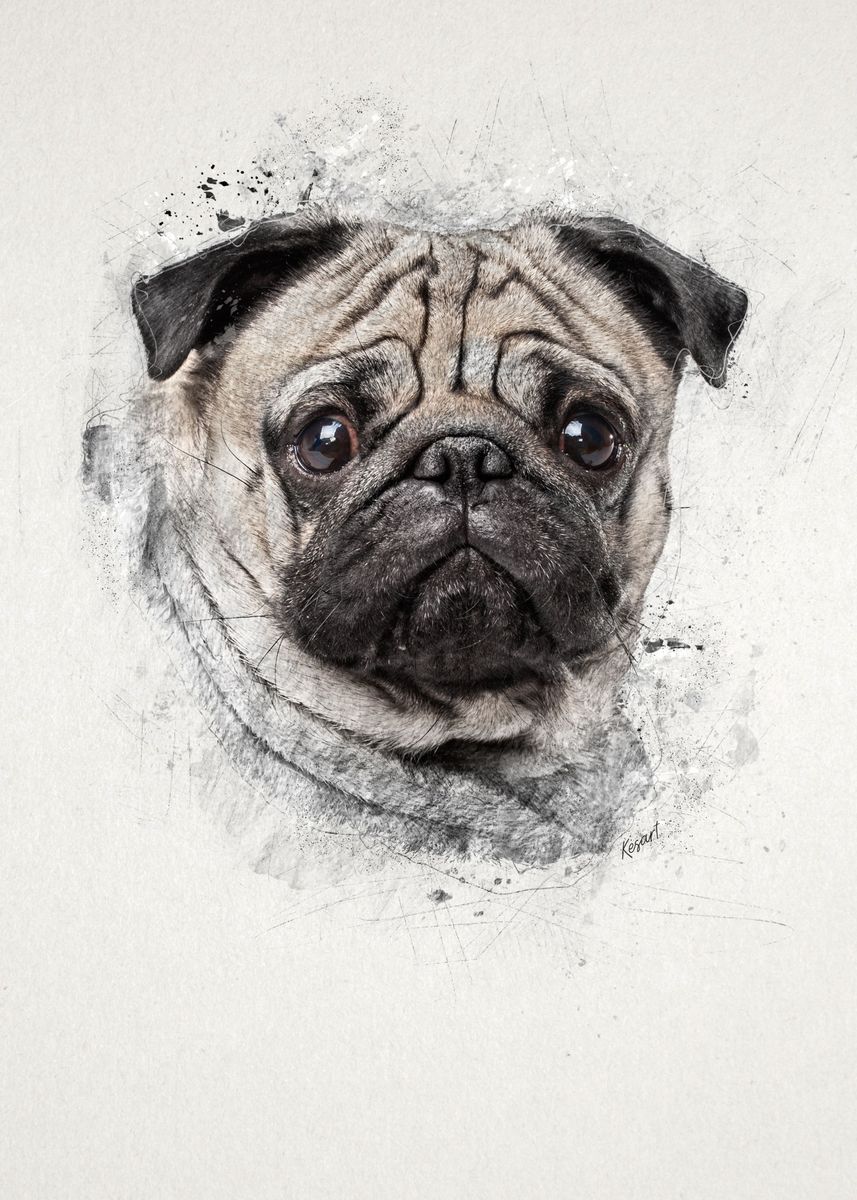 'Pug Portrait' Poster by Birds and Beasts by Kesart | Displate