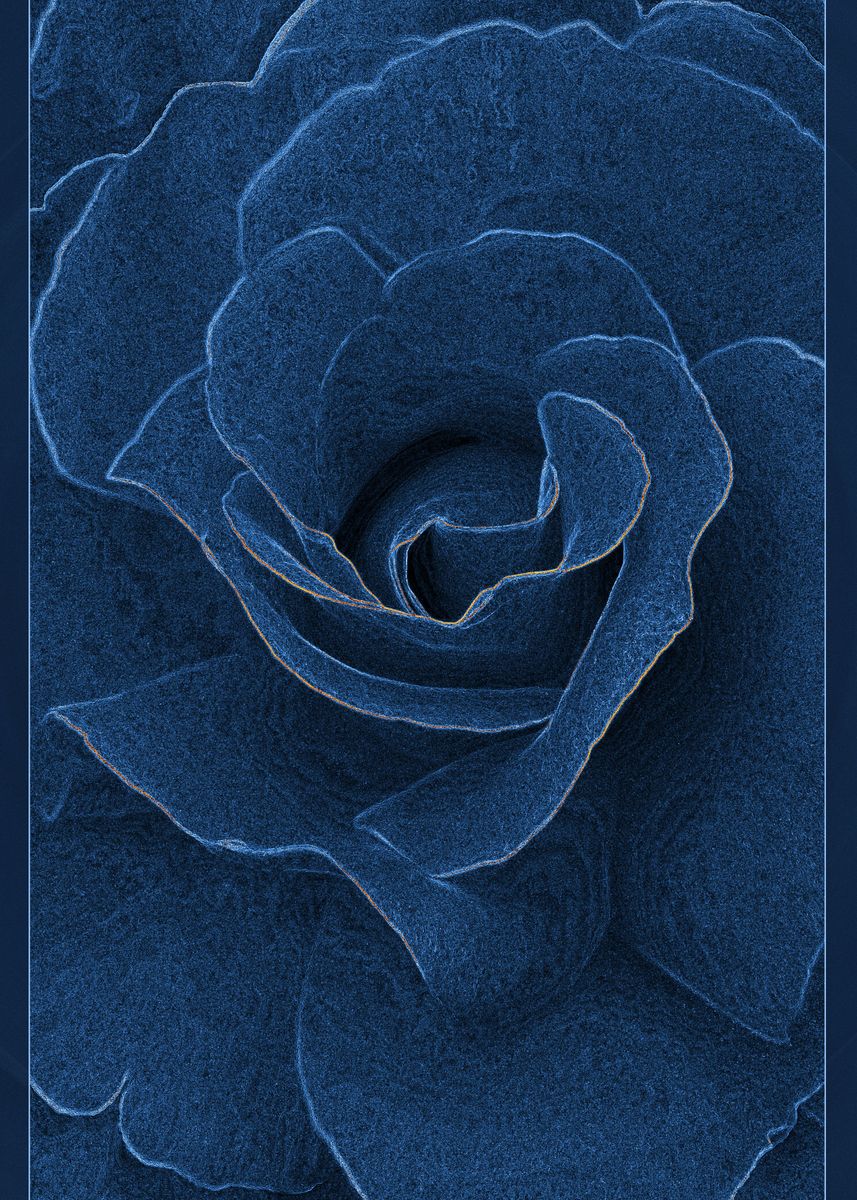 'Velvet blue rose' Poster, picture, metal print, paint by Marinela ...