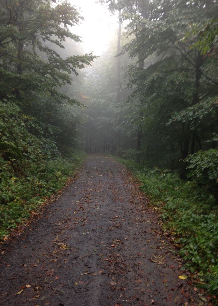 'In to the woods' Poster, picture, metal print, paint by Élizabeth ...