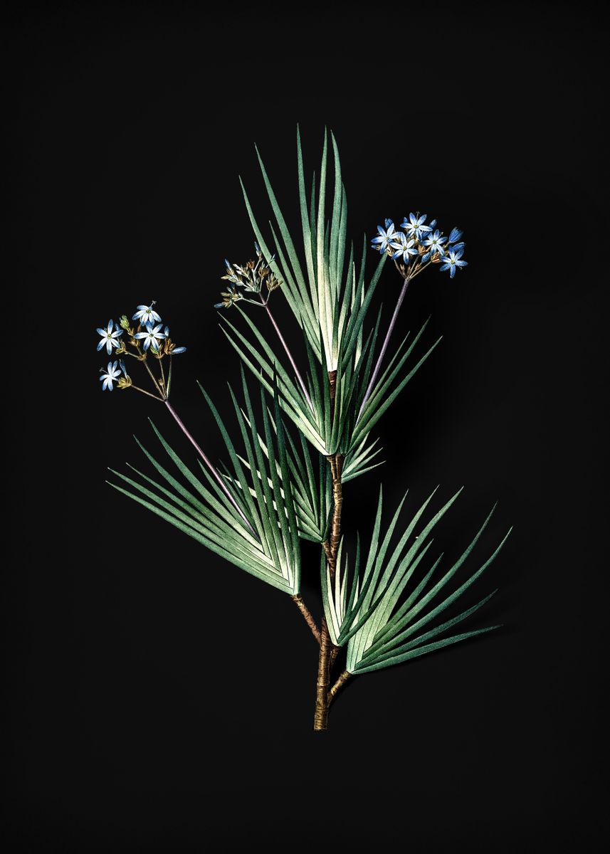 'Vintage Blue Stars' Poster, picture, metal print, paint by Holy Rock ...