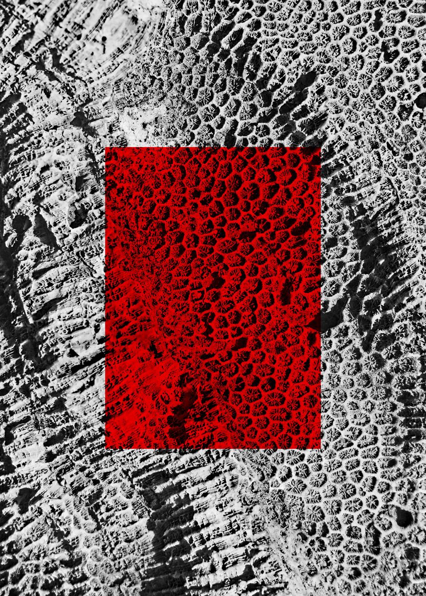 'Red Macros of Nedunteevu' Poster, picture, metal print, paint by ...