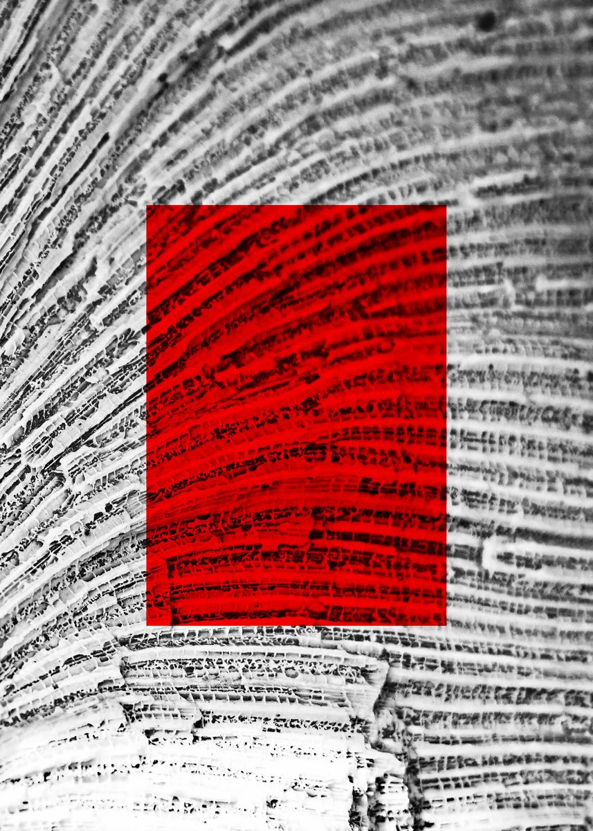 'Red Macros of Nedunteevu' Poster, picture, metal print, paint by ...