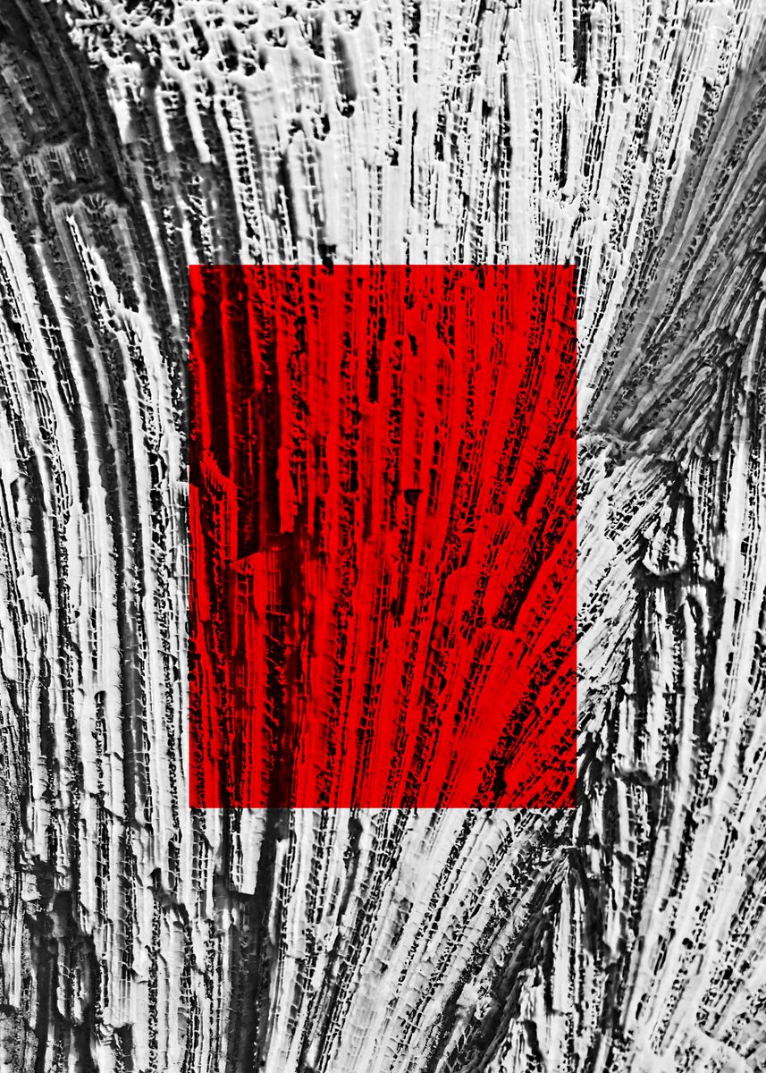 'Red Macros of Nedunteevu' Poster, picture, metal print, paint by ...