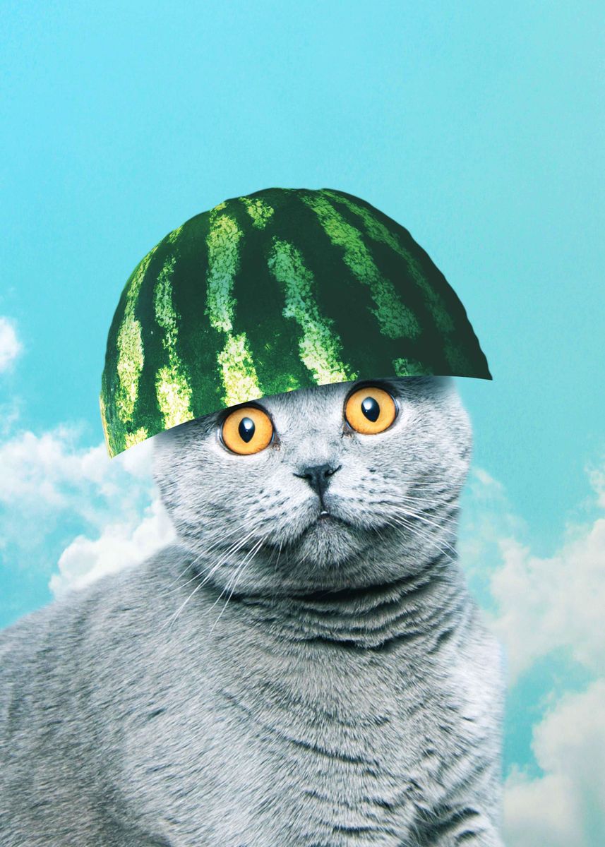 'Cute Funny Watermelon Cat' Poster, picture, metal print, paint by ...