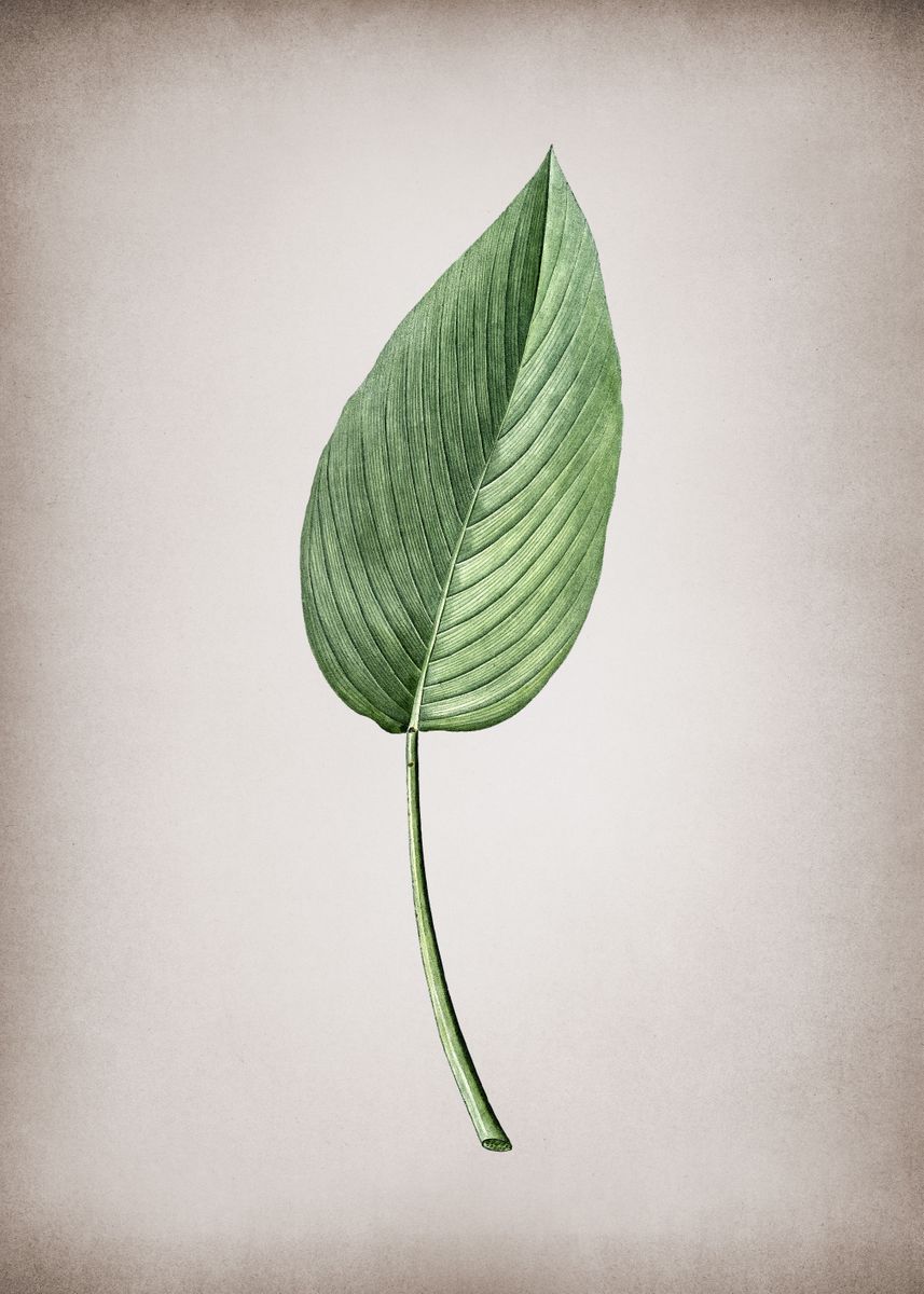 'Powdery Alligator Flag' Poster, picture, metal print, paint by Holy ...