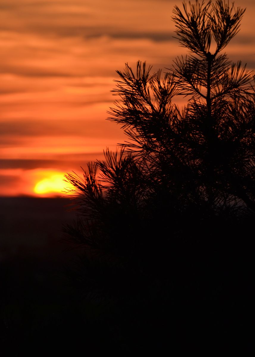 'Sun' Poster, picture, metal print, paint by Matthias Buchholz | Displate