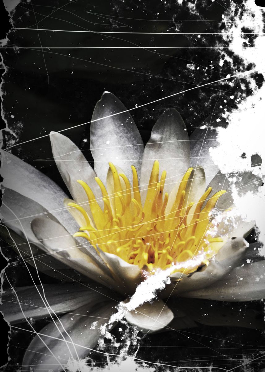 'Faded flowers 3' Poster, picture, metal print, paint by Snisovik ...