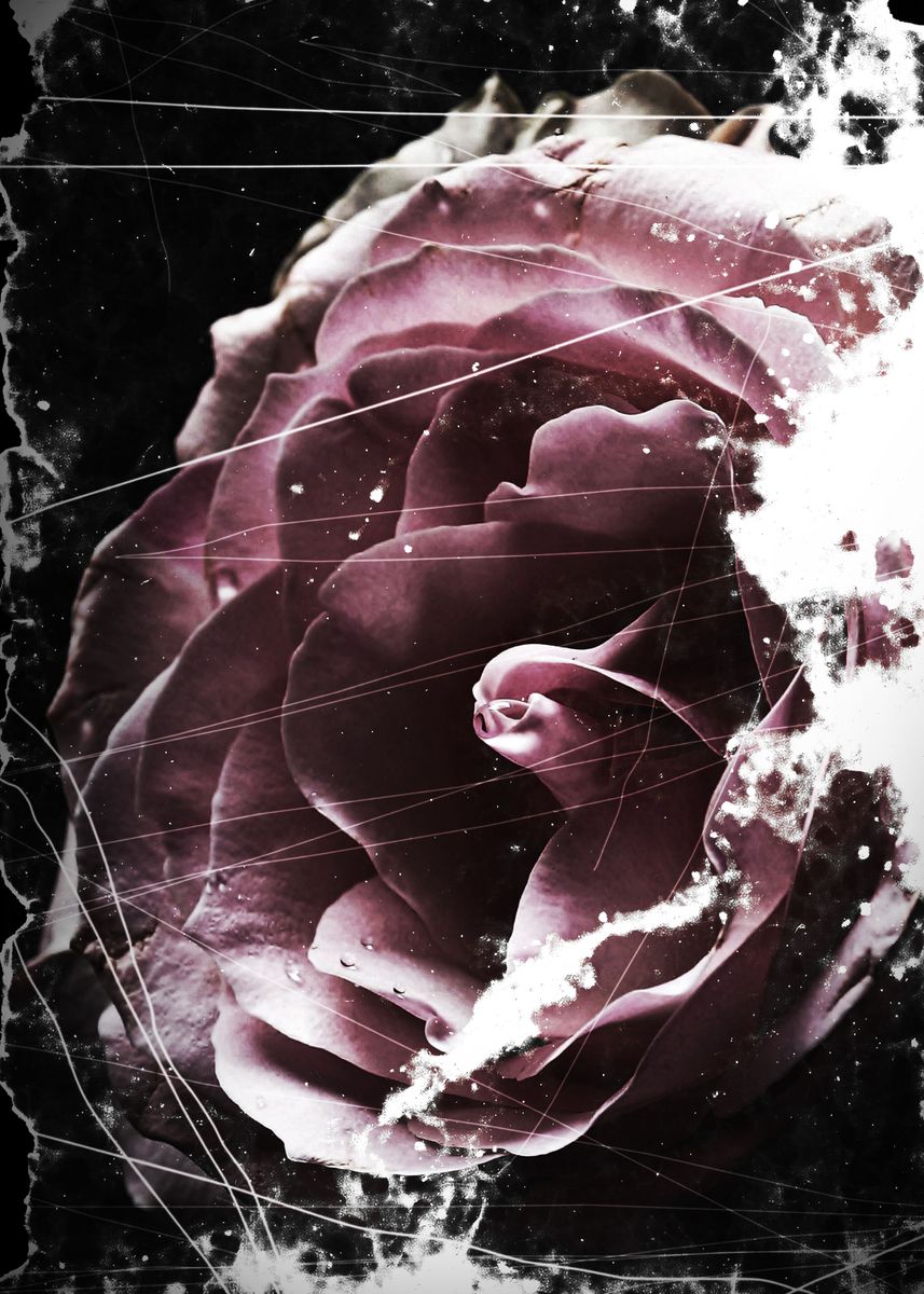 'Faded flowers 2' Poster by Snisovik Prints | Displate