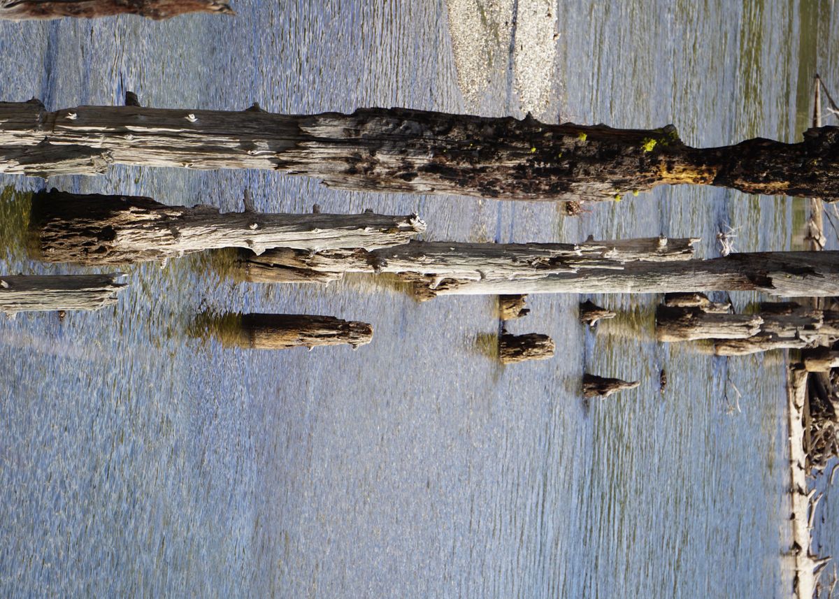 'River Poles' Poster by Jamie Ross | Displate