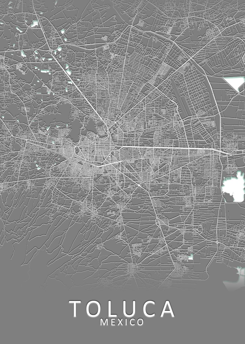 'Toluca Mexico City Map' Poster by City Map Art Prints | Displate
