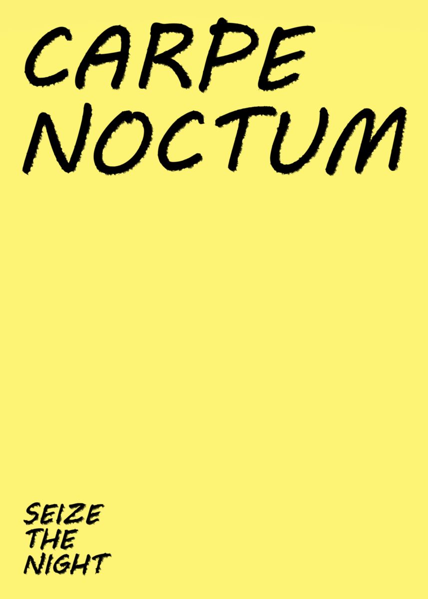 'Seize The Night' Poster, picture, metal print, paint by Creatify ...