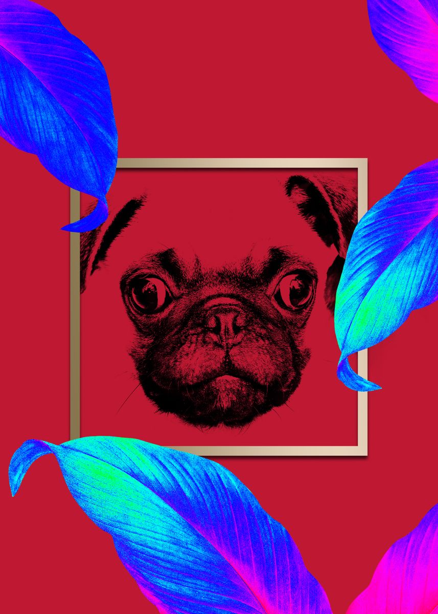 'Colourful Pug Dog Modernis' Poster, picture, metal print, paint by ...