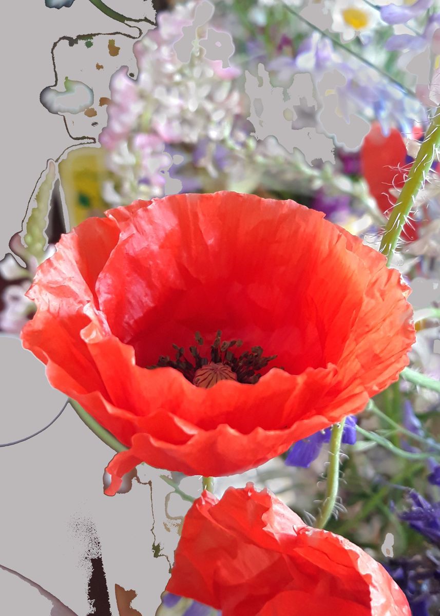 'Poppy art' Poster, picture, metal print, paint by Edy Art Space | Displate