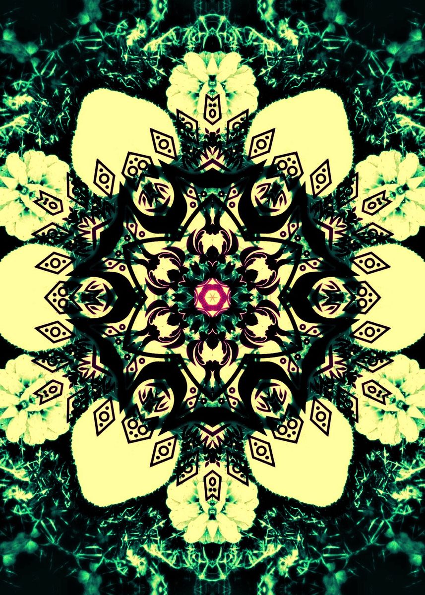 'Visionary Mandala' Poster, picture, metal print, paint by Max Nesta ...