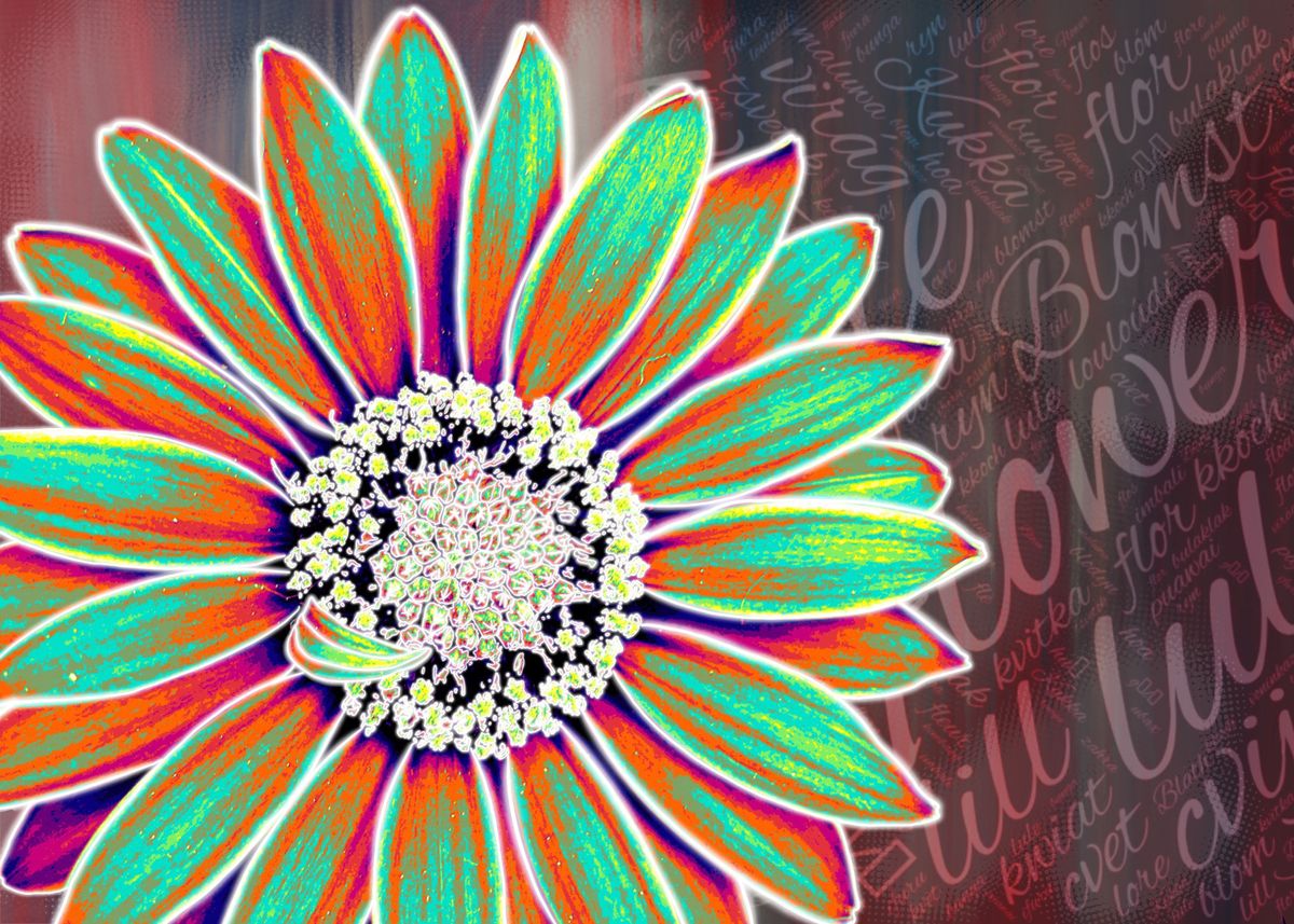 'Flower 7 Cosmos 2' Poster by Daniel Embleton | Displate