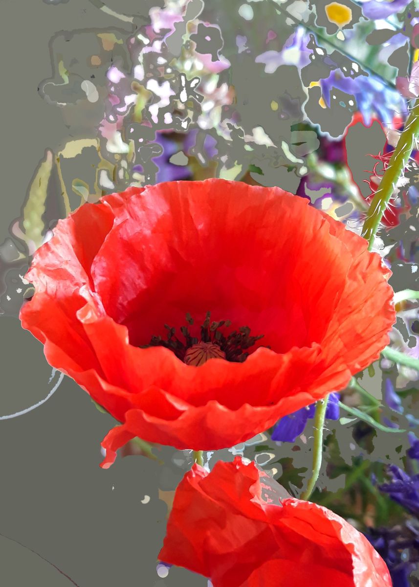 'Glass poppy' Poster by Edy Art Space | Displate