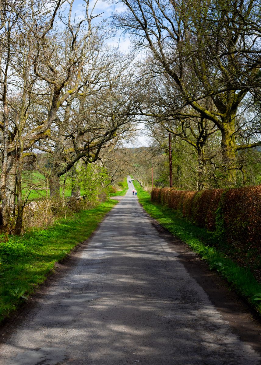 'Along the road' Poster by Stoobie | Displate