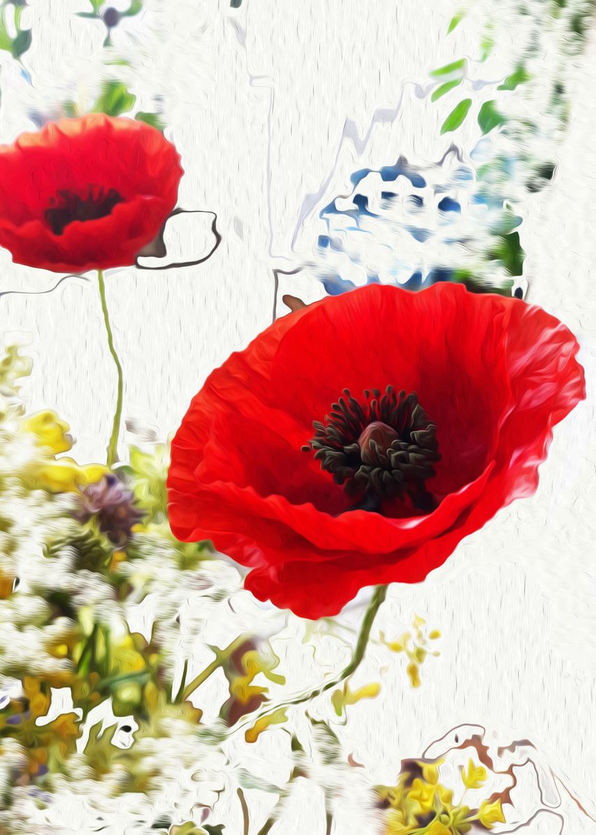 'White poppy' Poster by Edy Art Space | Displate