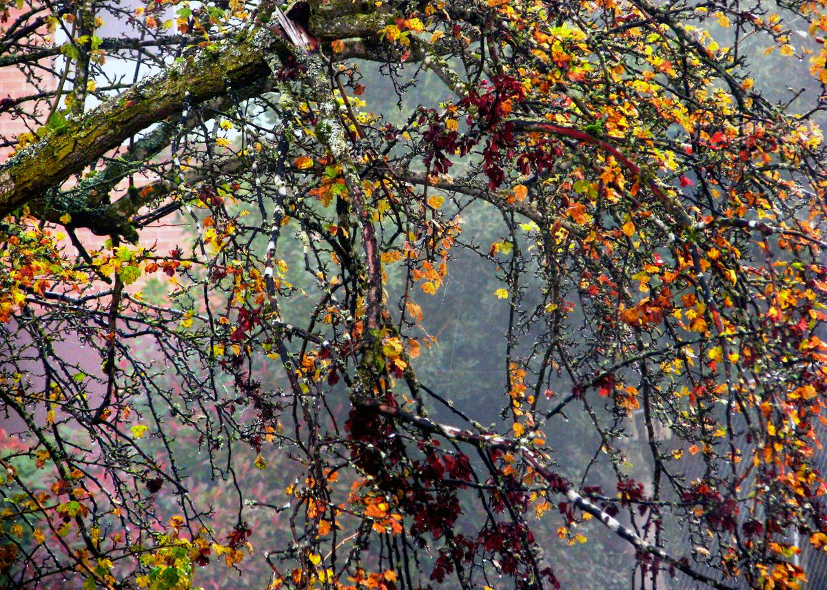 'Intricate Autumn' Poster by Jaeda DeWalt | Displate