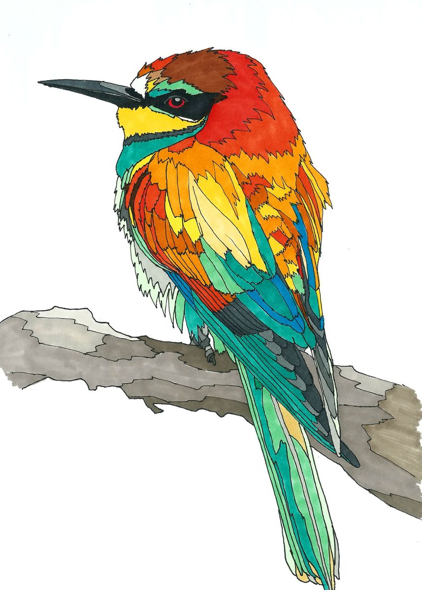 'European bee eater' Poster, picture, metal print, paint by Olga ...