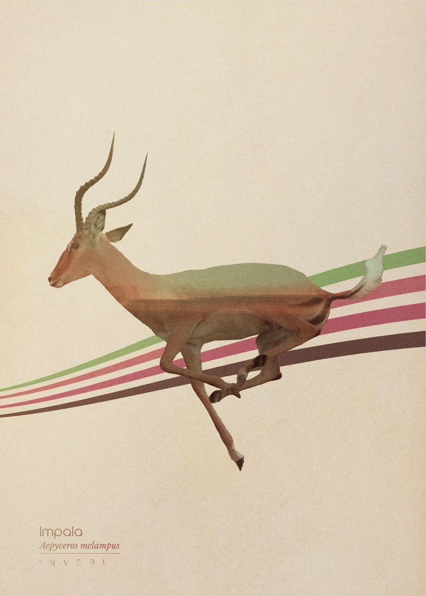 'Impala' Poster, picture, metal print, paint by I N V S B L | Displate