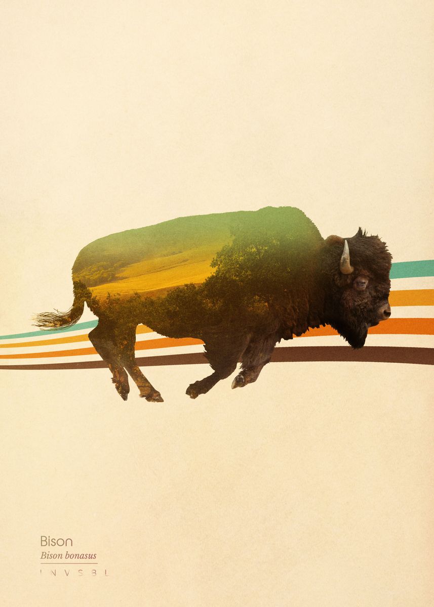 'Bison ' Poster, picture, metal print, paint by I N V S B L | Displate