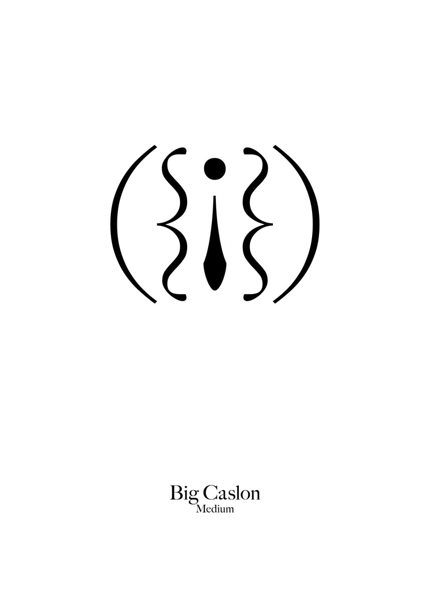 'Big Caslon' Poster, picture, metal print, paint by Viktor Hertz | Displate