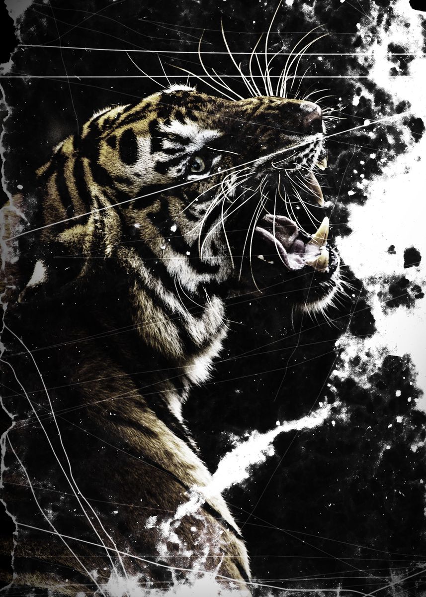 'Faded tiger' Poster by Snisovik Prints | Displate